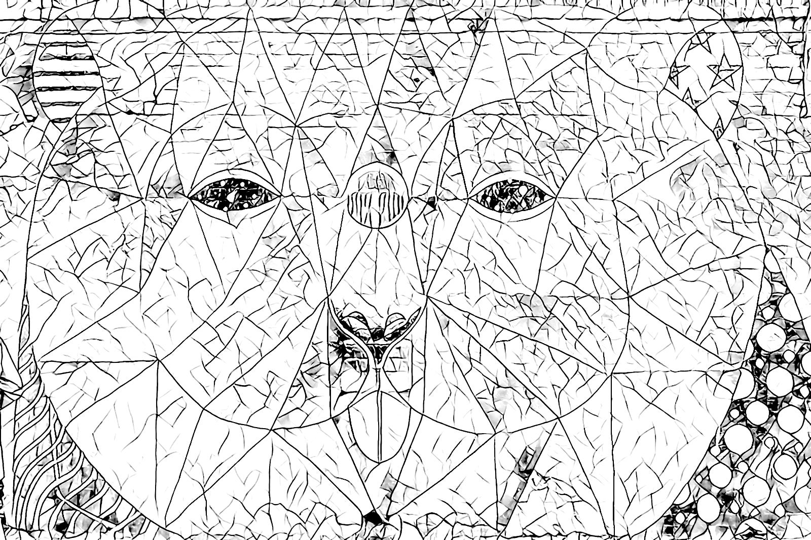 Create Your Own Adult Coloring Book | Learn BeFunky