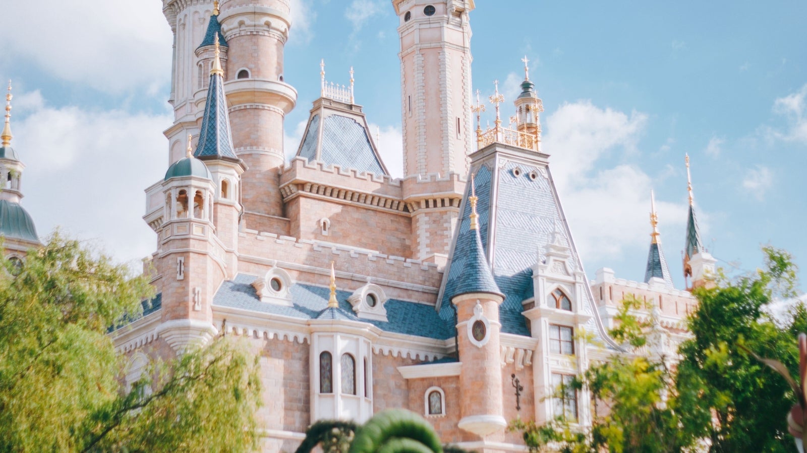 How to Create a Custom Zoom Virtual Background | Learn BeFunky