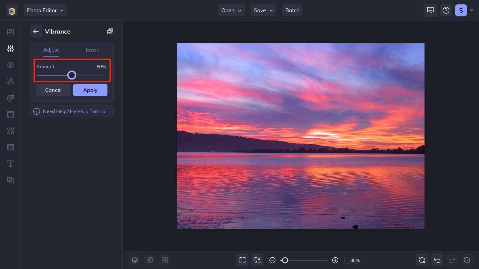 How to Enhance Image Color With the Vibrance Tool | Learn BeFunky