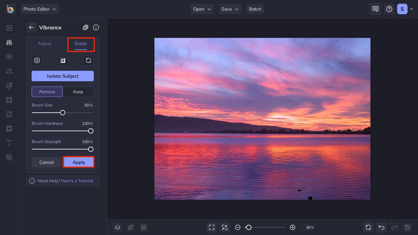 How to Enhance Image Color With the Vibrance Tool | Learn BeFunky