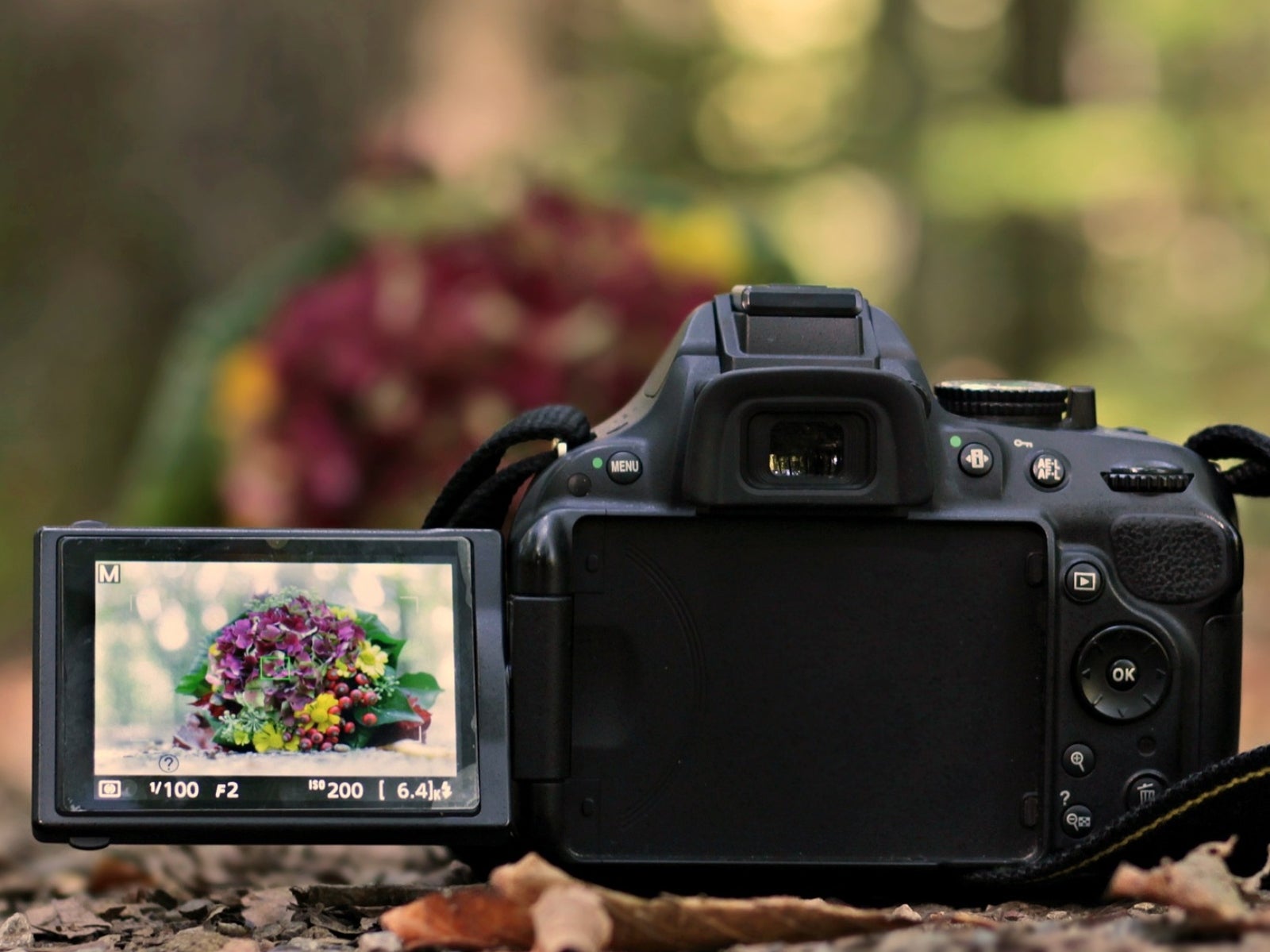 How to Manipulate Depth of Field in Seconds | Learn BeFunky