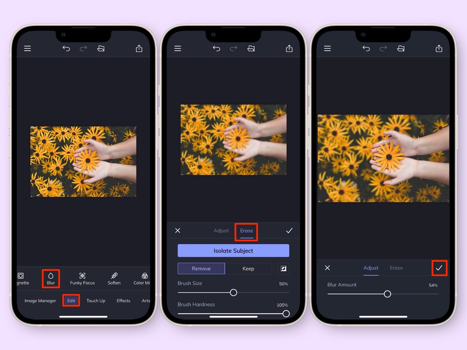 How to Manipulate Depth of Field in Seconds | Learn BeFunky