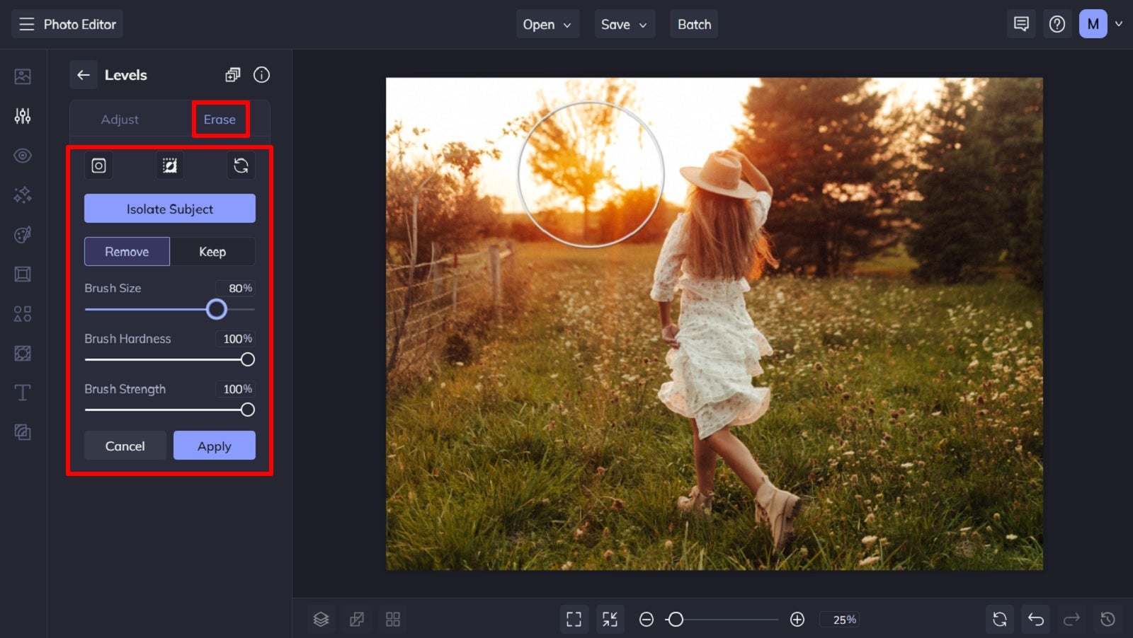 How to Control Exposure With the Levels Tool | Learn BeFunky