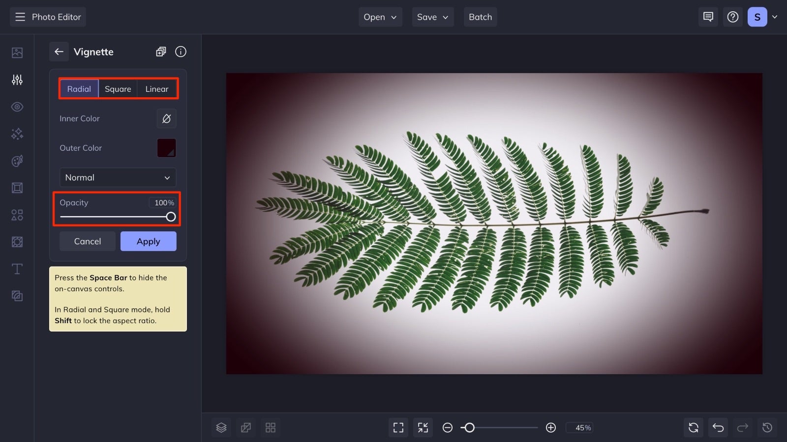 Create a Gradient Background With the Vignette Tool | Learn BeFunky