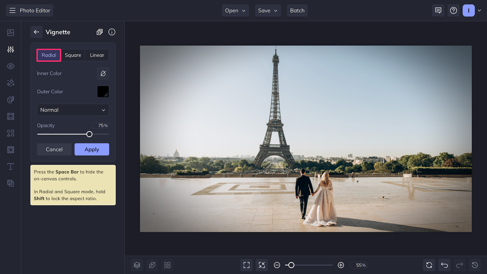 Your Ultimate Guide to Vignette Effects | Learn BeFunky