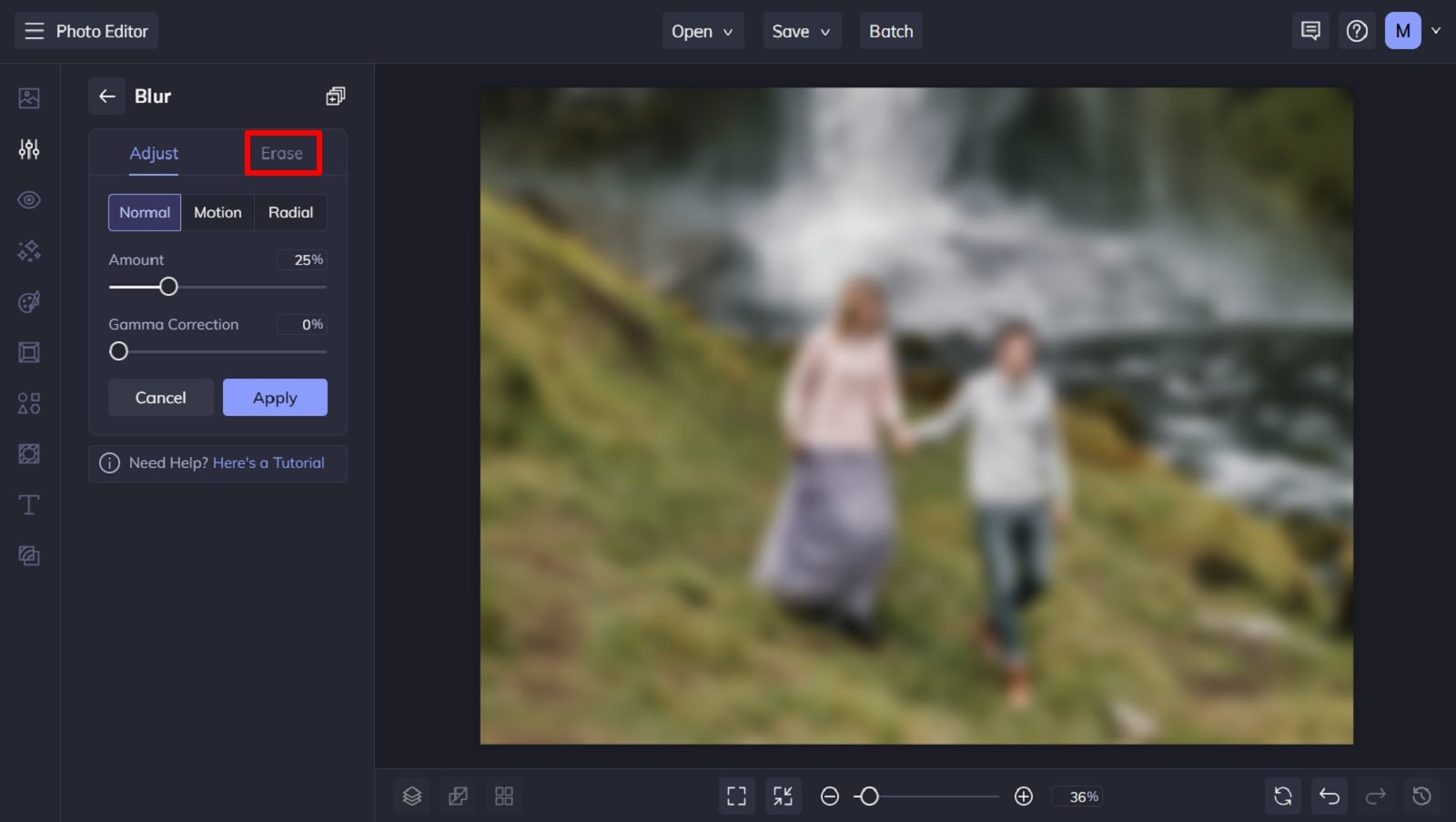 Blur Images And Create Depth Of Field With The Blur Tool | Learn BeFunky