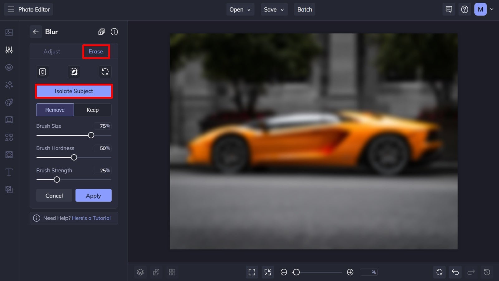 Create Movement With the Blur Tool | Learn BeFunky