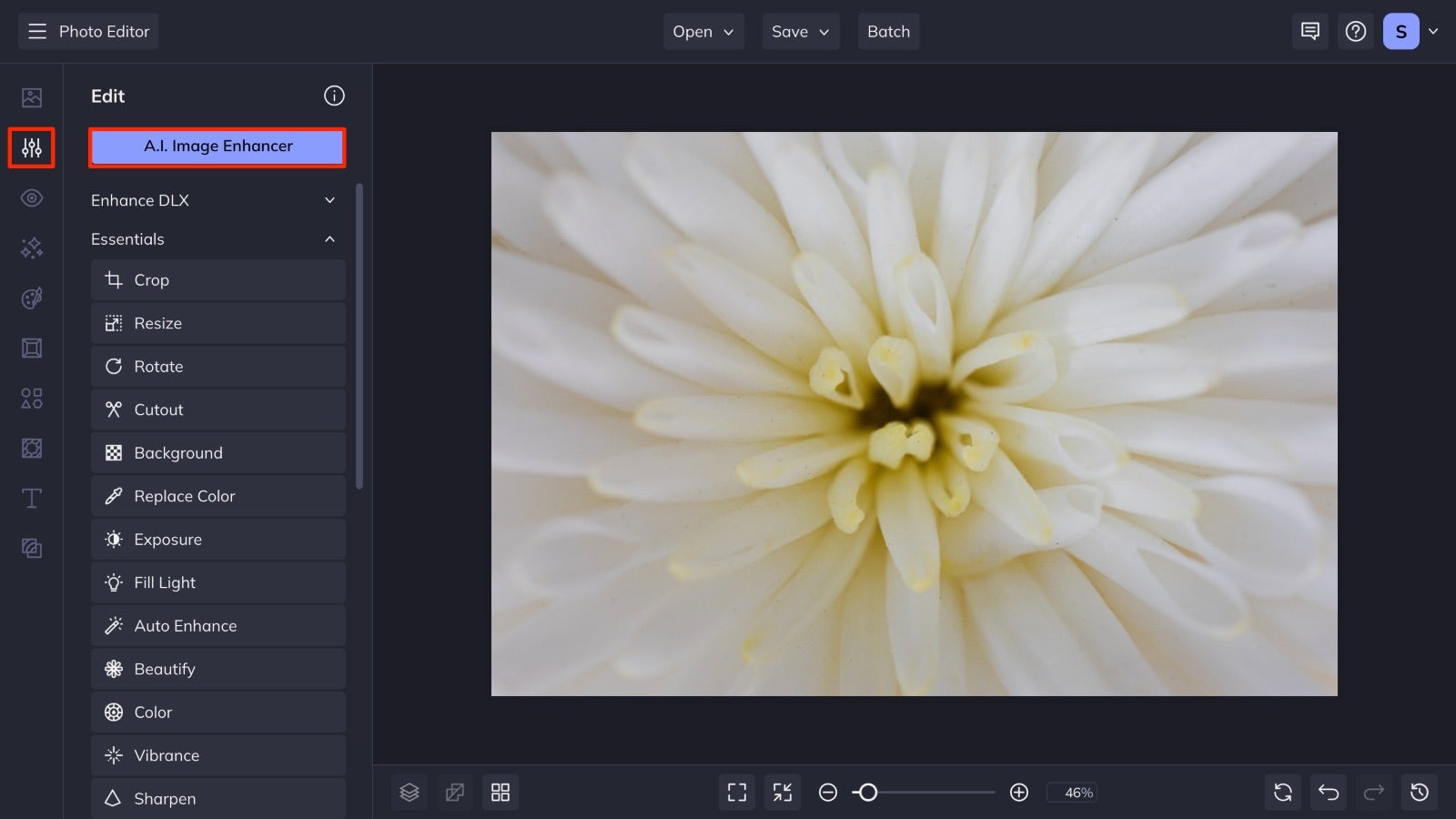 An Introduction to Editing Macro Photography | Learn BeFunky