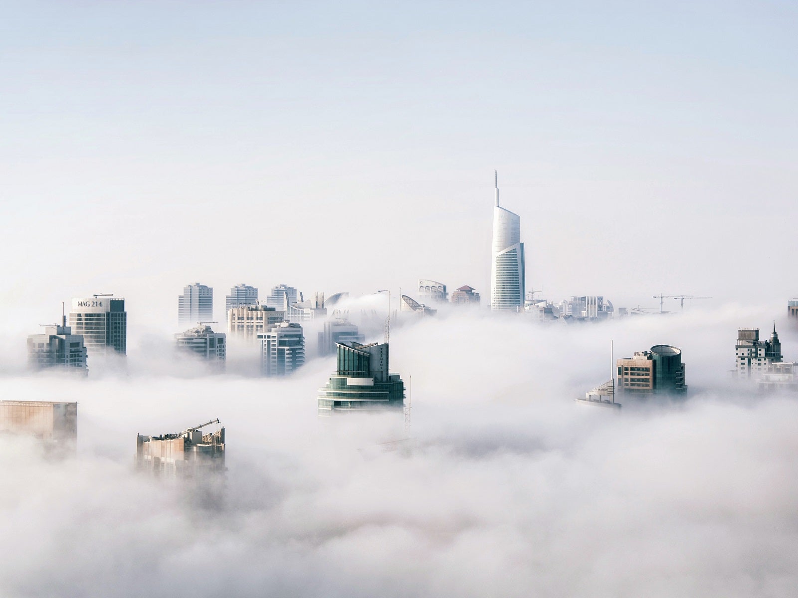 Filter and Edit Your Photos Easily With Our Toning Filters | Learn BeFunky