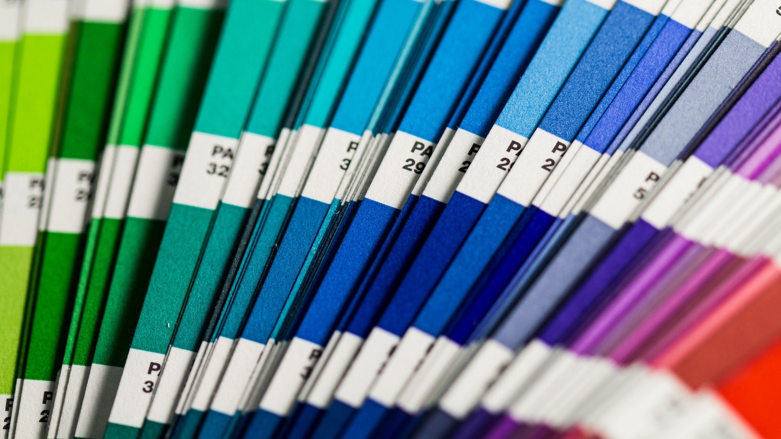 A History of Color | Learn BeFunky