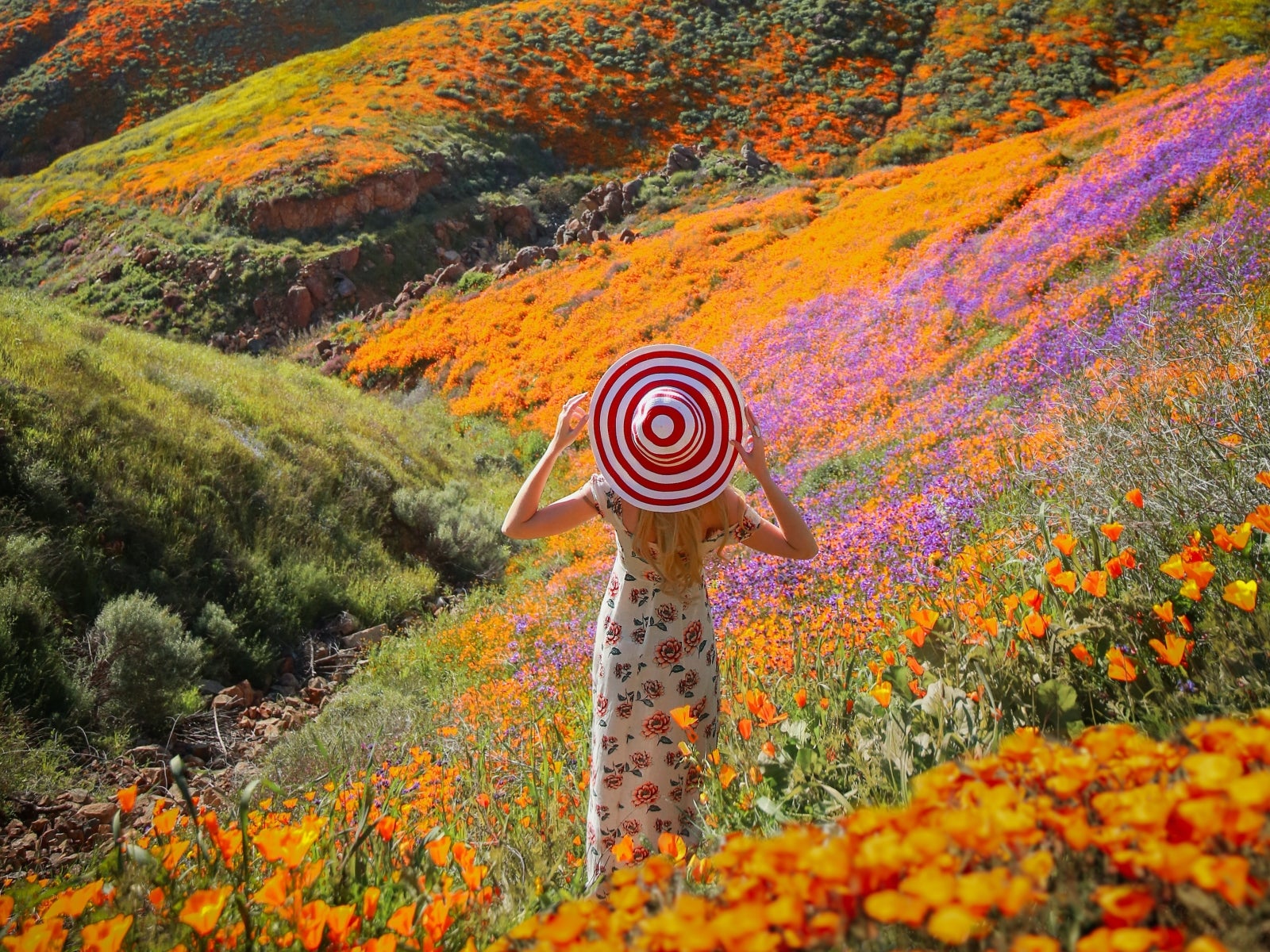 Tumblr Spring Photography