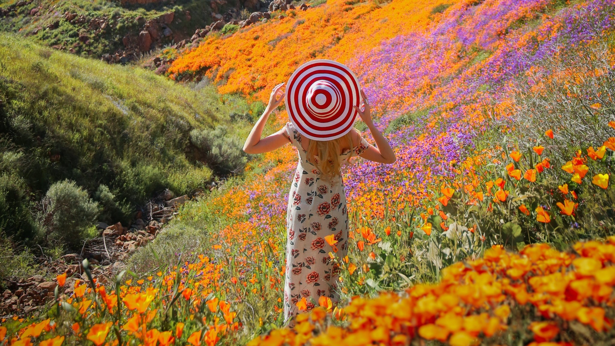 11 Spring Photography Ideas to Try This Season | Learn BeFunky