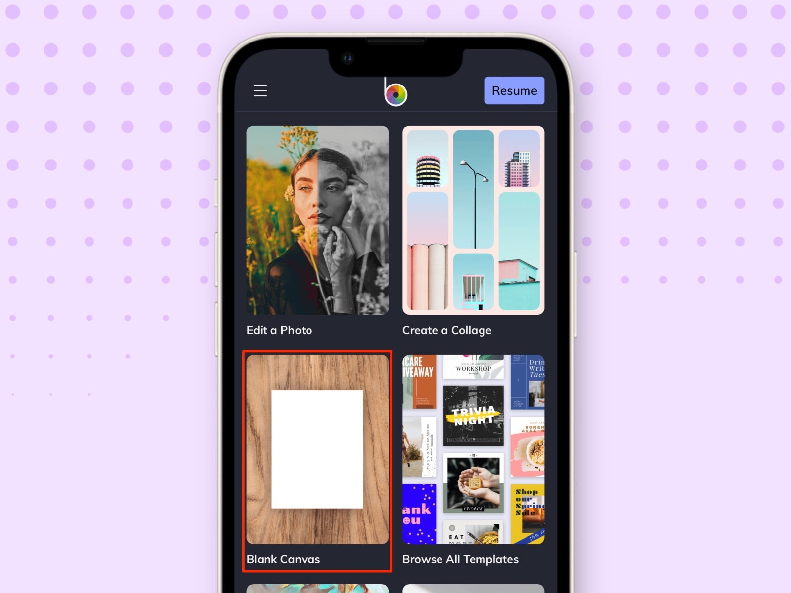 Clipping Masks: the Best Way to Turn Images Into Shapes | Learn BeFunky