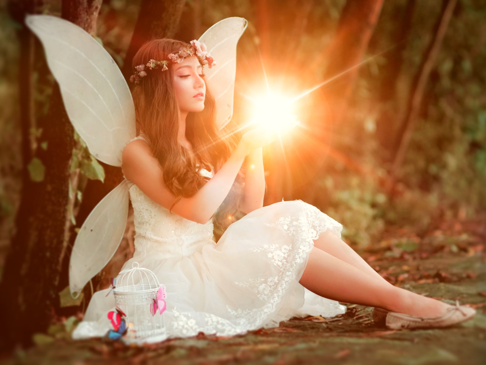 Lens Flare Effects to Make Your Photos Shine | Learn BeFunky