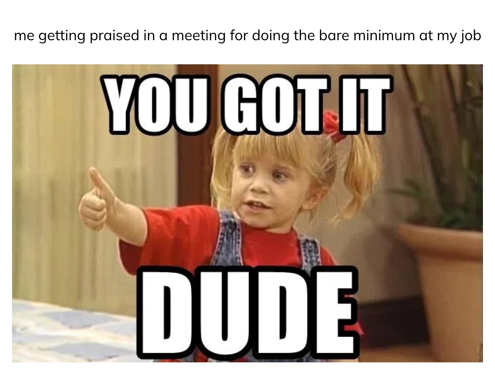 You Got It Meme