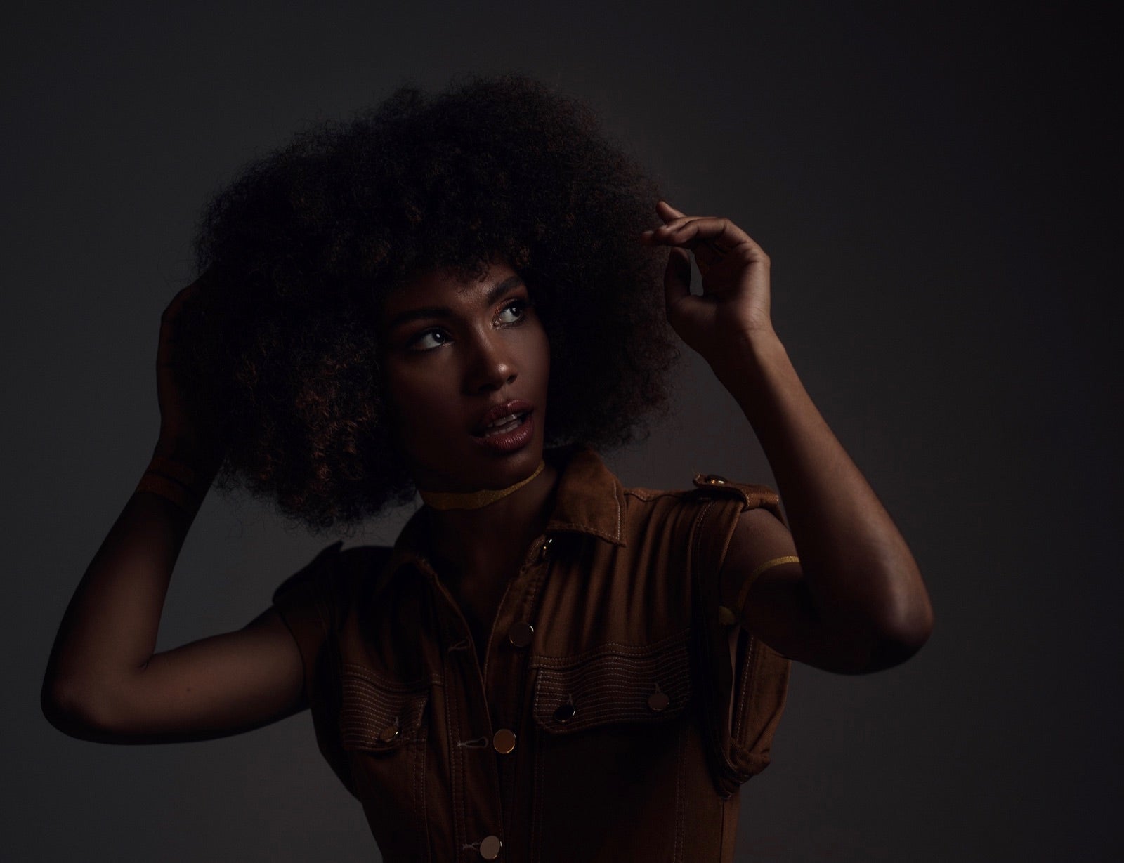 Adjust Tones and Colors With the Levels Tool | Learn BeFunky