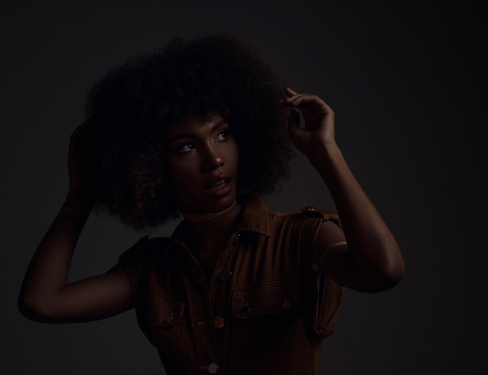 Adjust Tones and Colors With the Levels Tool | Learn BeFunky