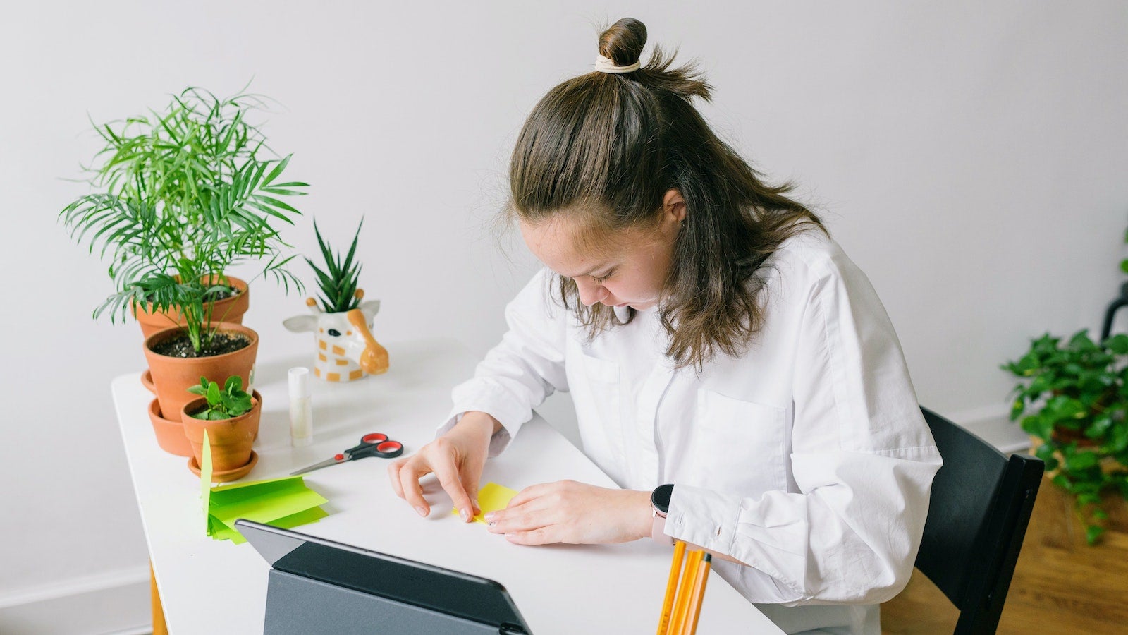 How to Design and Print an Illustrated Poetry Chapbook | Learn BeFunky