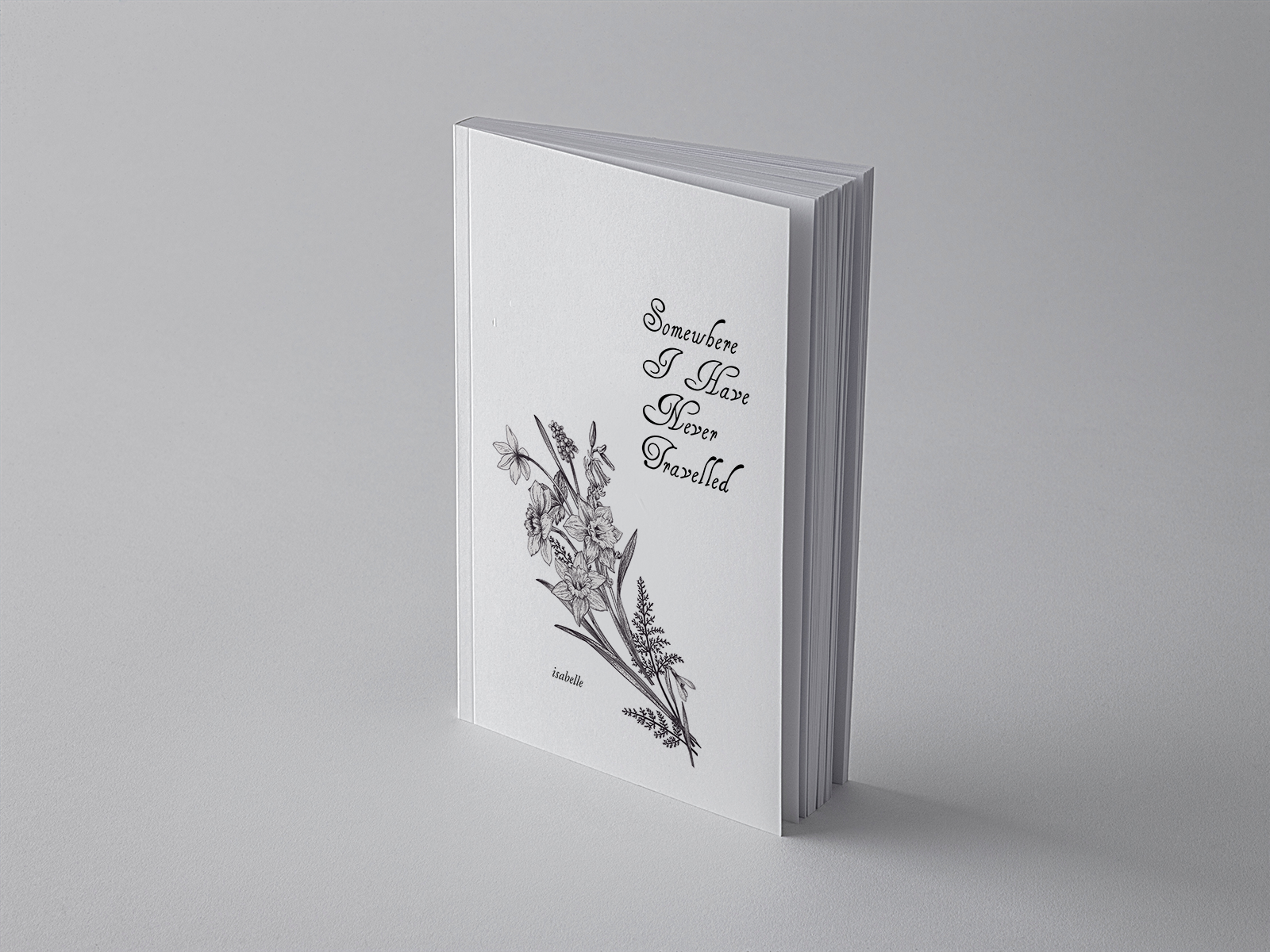 How to Design and Print an Illustrated Poetry Chapbook | Learn BeFunky