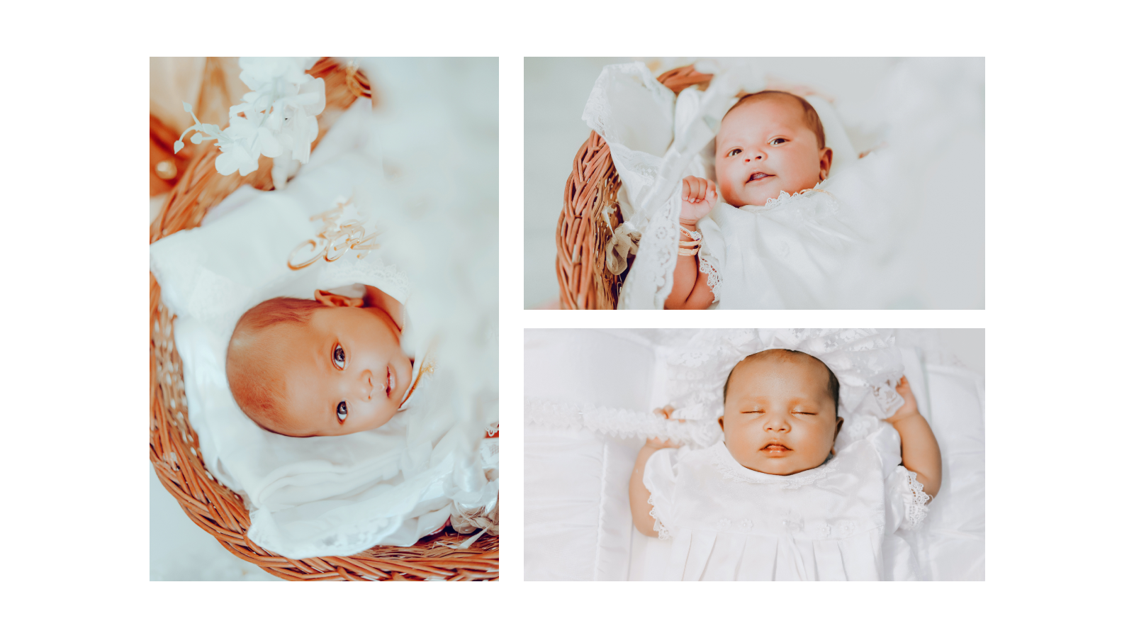 How to Make a Free Digital Photo Album | Learn BeFunky