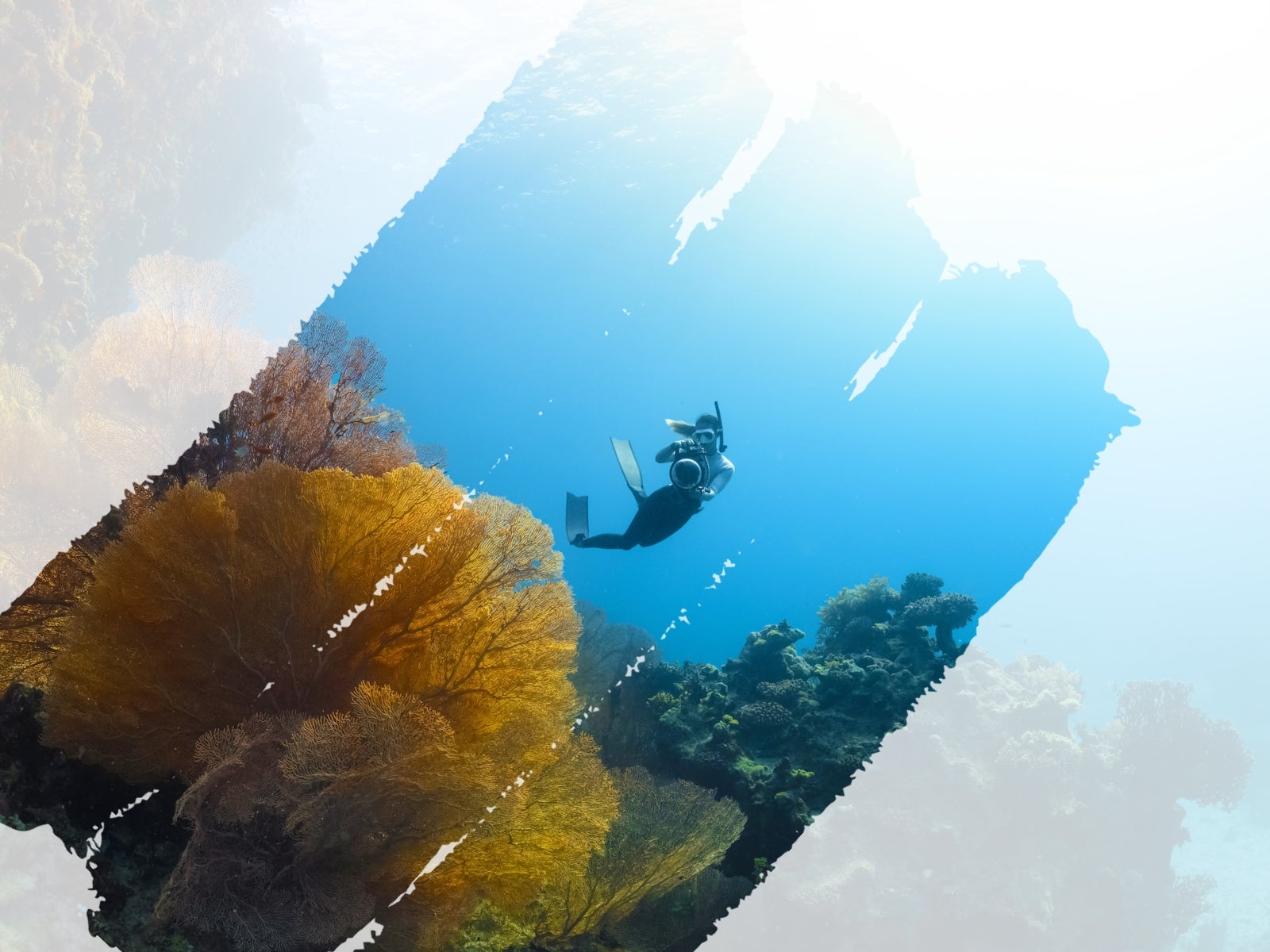 How to Add Brushstroke Overlays to Photos | Learn BeFunky