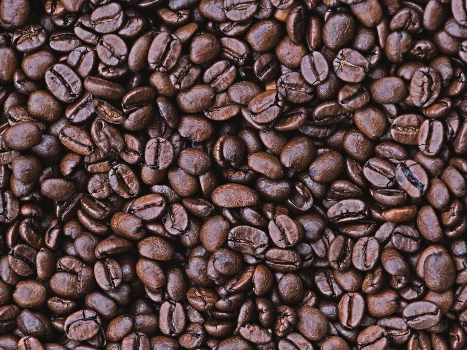 Replicate Fill Light in Photos – No Expensive Lighting Equipment ...