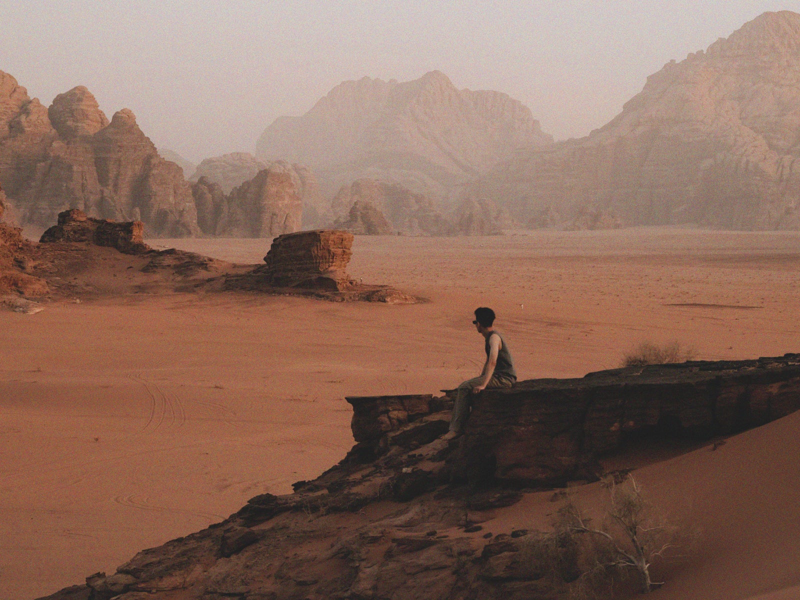 Add a Realistic Film Grain to Your Photos for Free | Learn BeFunky