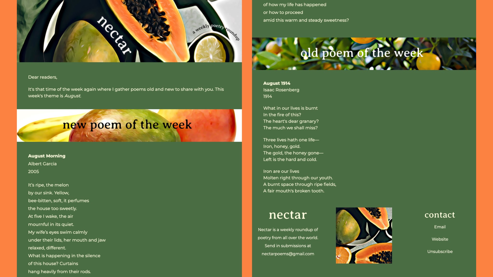 Design Your Own Customizable Newsletters | Learn BeFunky