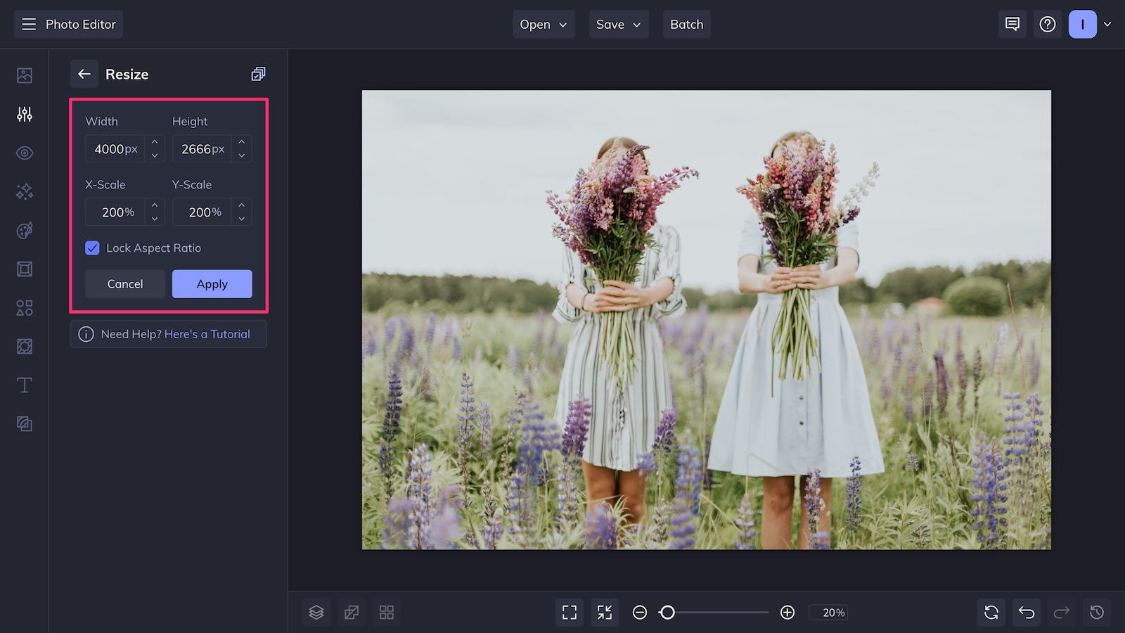Resize vs. Upscale: What’s the Difference? | Learn BeFunky