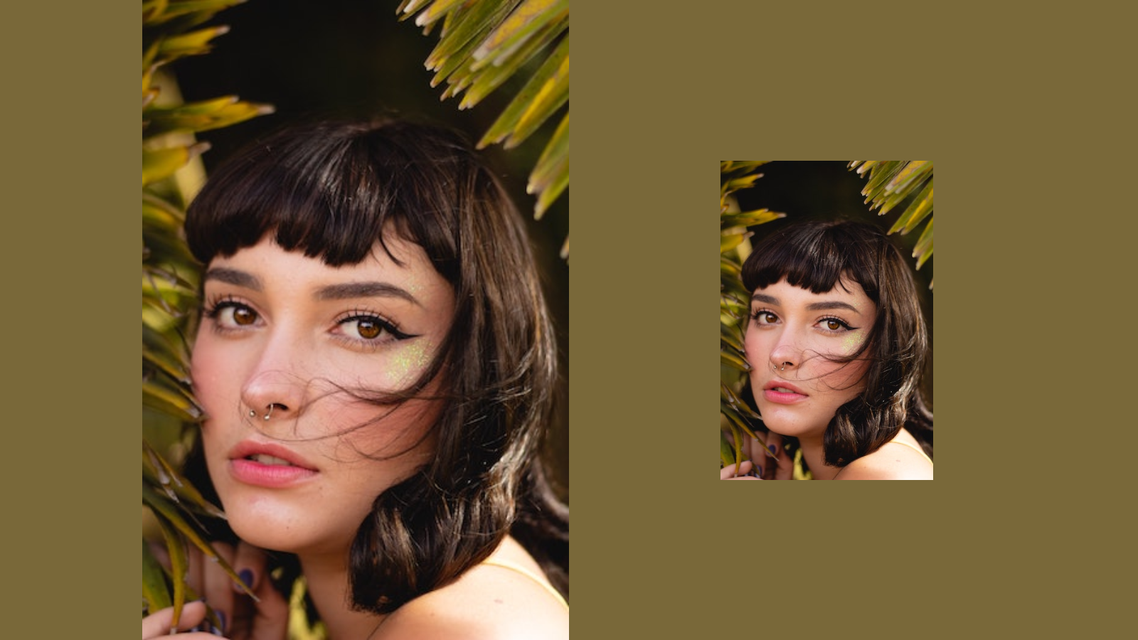 Resize vs. Upscale: What’s the Difference? | Learn BeFunky