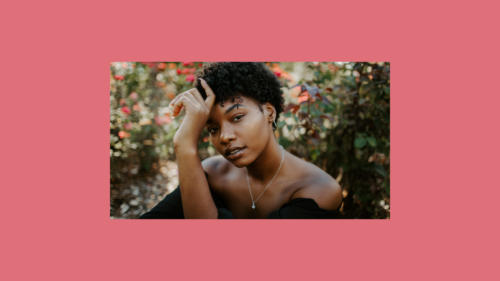 Resize vs. Upscale: What’s the Difference? | Learn BeFunky