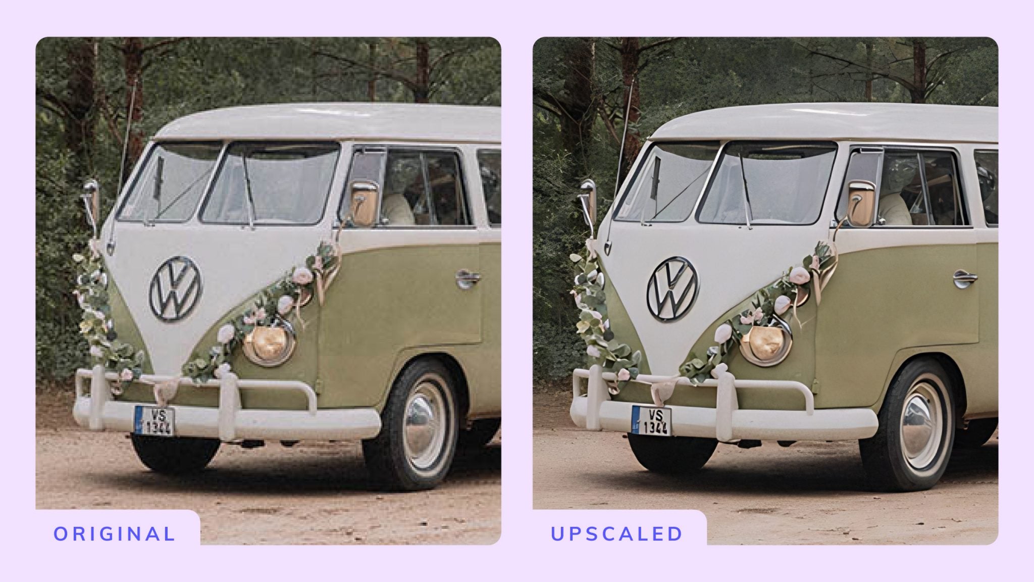 Enhance Images With the Upscale Tool | Learn BeFunky