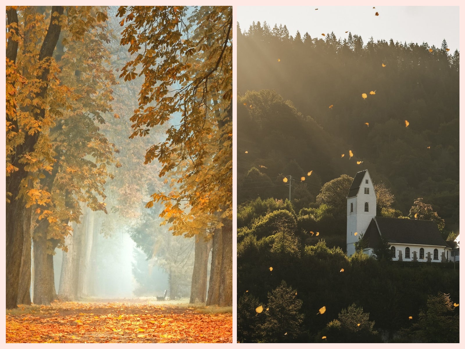 Top 5 Little-Known Fall Photography Tips | Learn BeFunky
