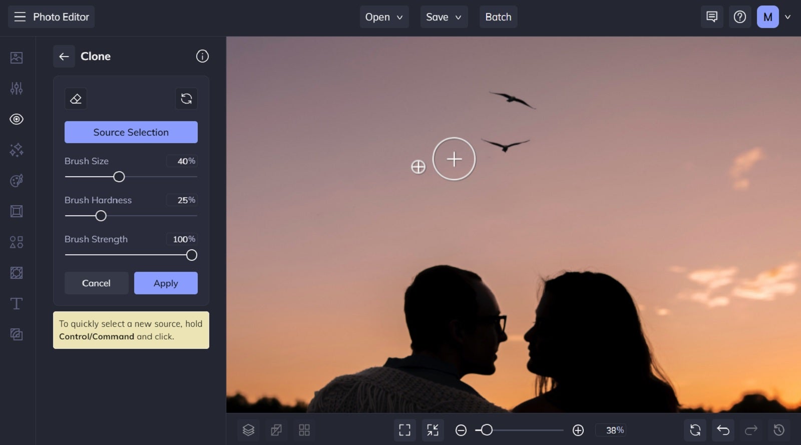Object Eraser vs. Clone Stamp Tool | Learn BeFunky