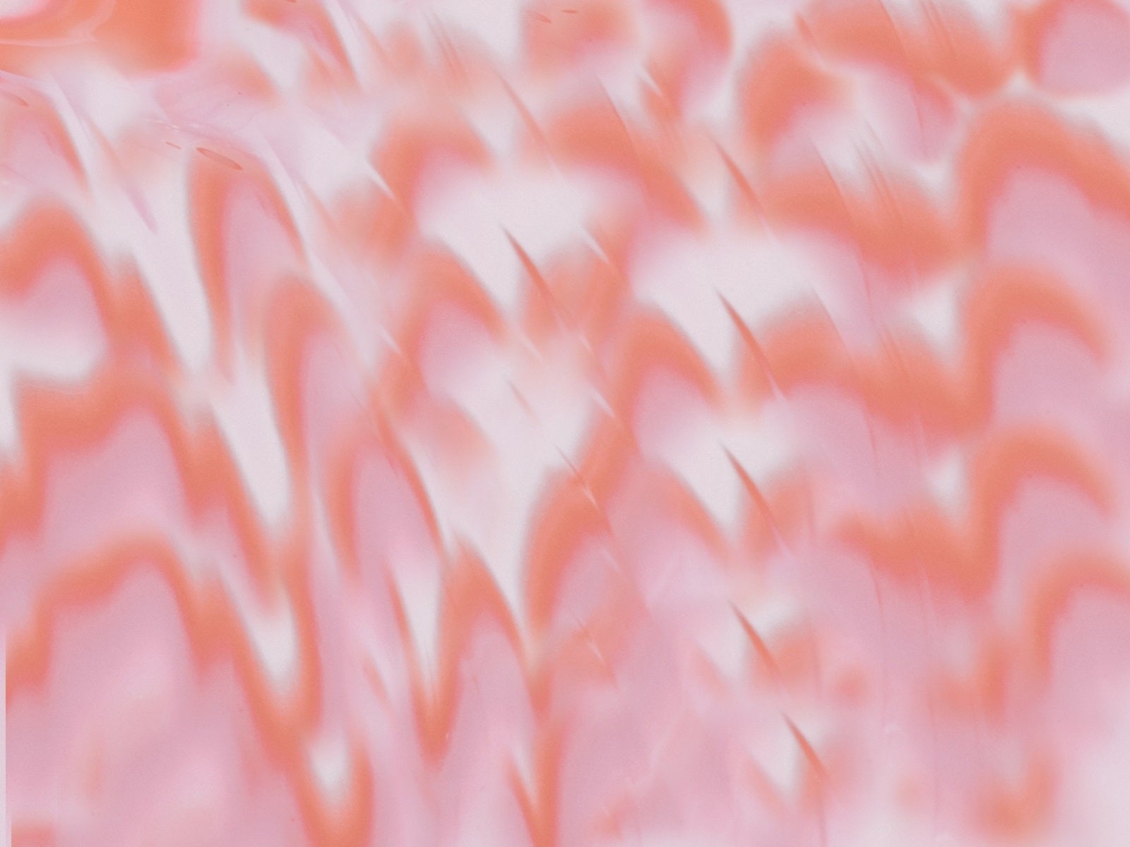 How to Remove an Unwanted Object From Your Photo With the Clone Tool | Learn BeFunky