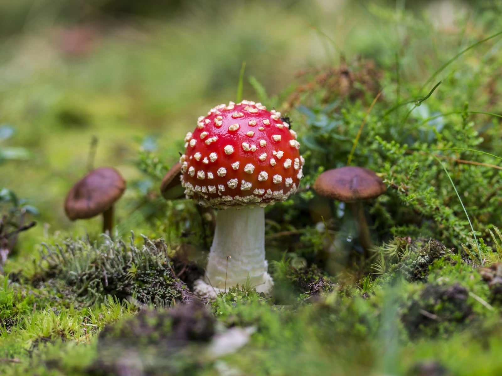 Get Inspired With These 8 Nature Photography Ideas | Learn BeFunky