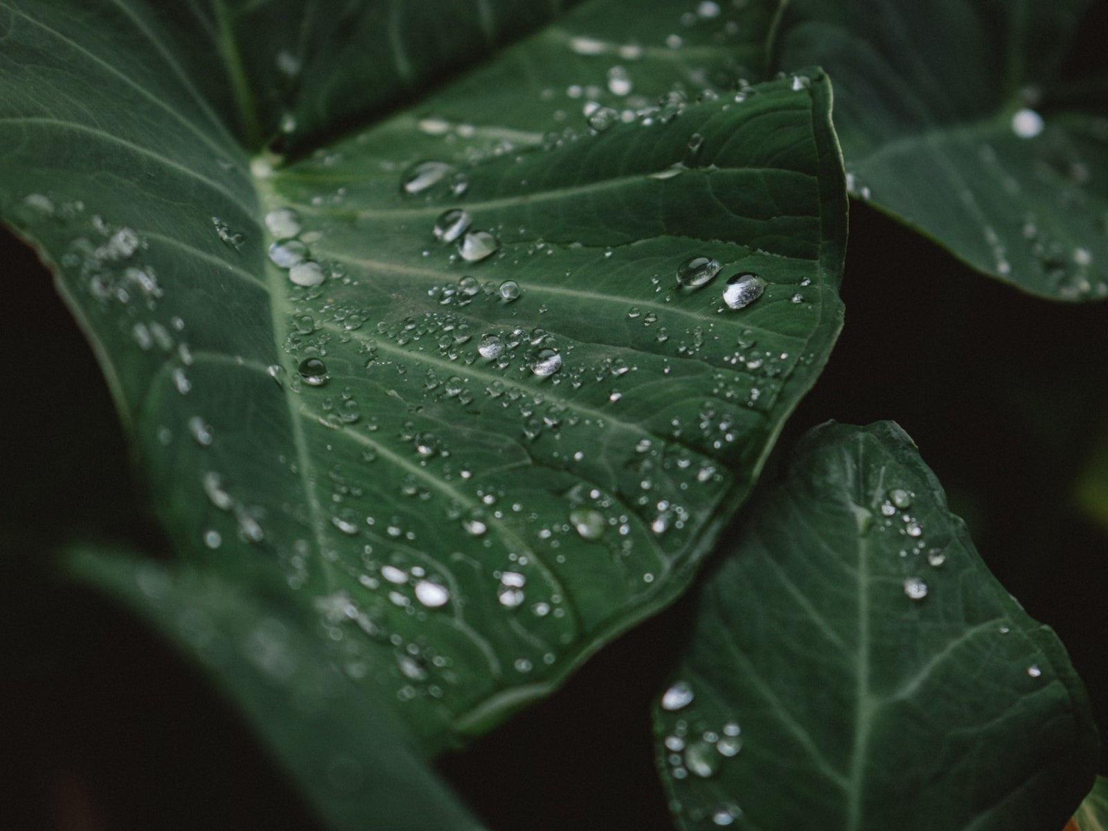 Get Inspired With These 8 Nature Photography Ideas | Learn BeFunky