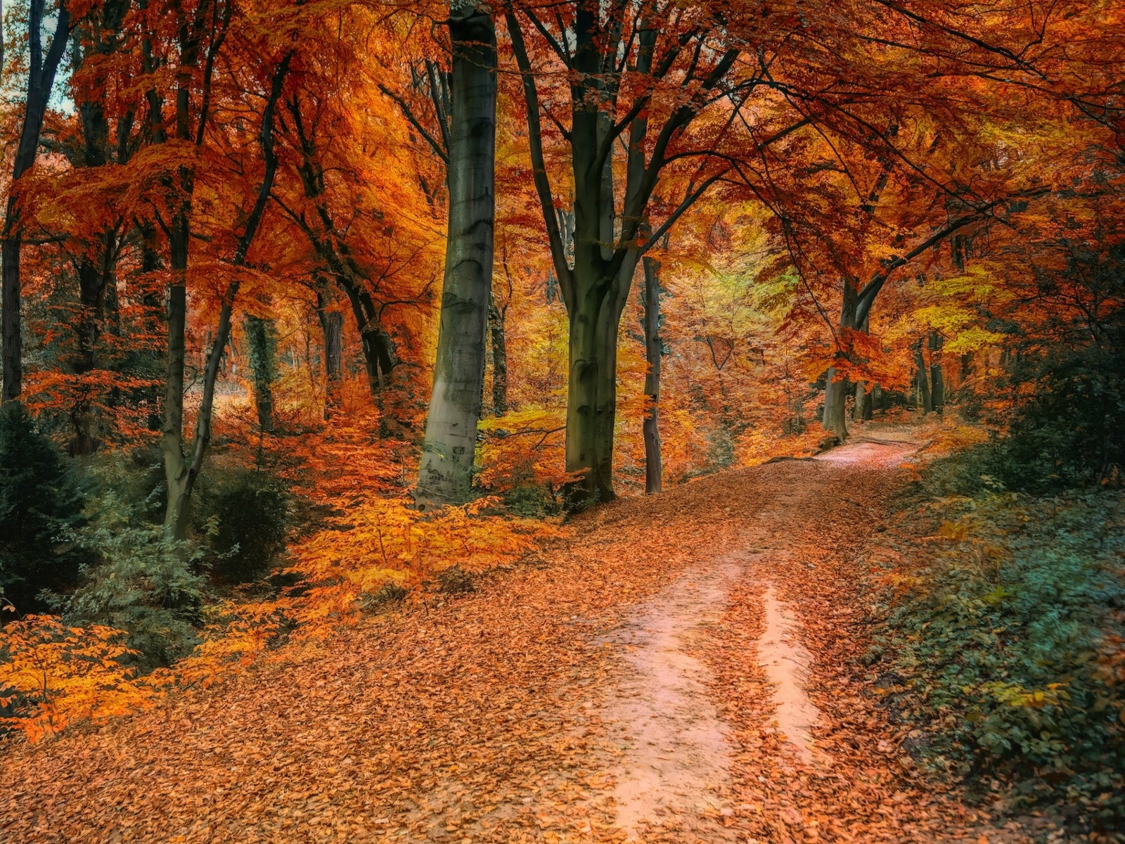 Get Inspired With These 8 Nature Photography Ideas | Learn BeFunky