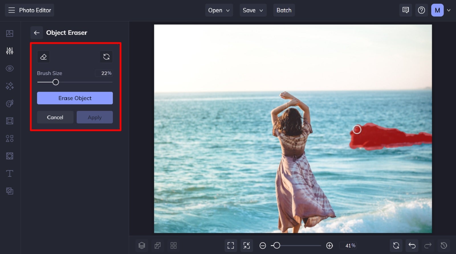 Object Eraser vs. Clone Stamp Tool | Learn BeFunky