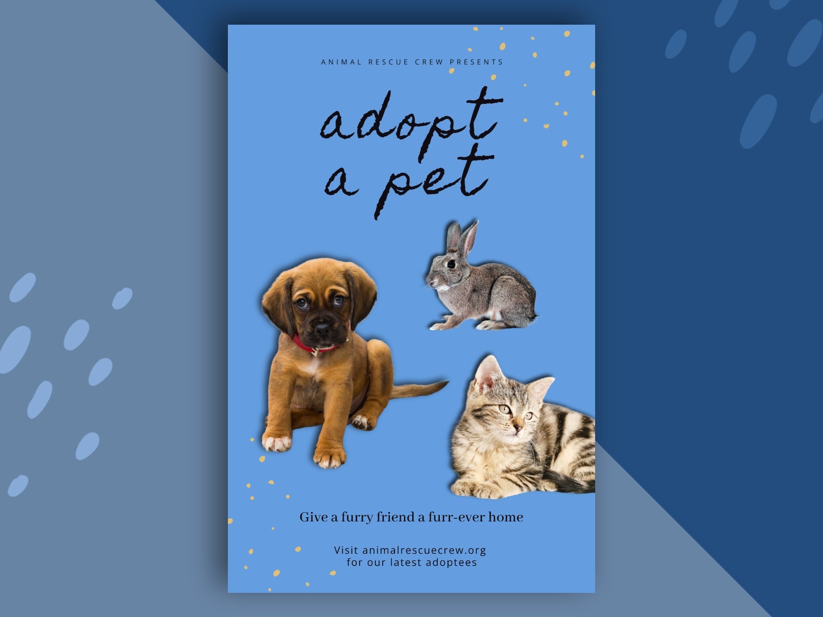 Using Transparent Backgrounds to Elevate Your Marketing Materials ...