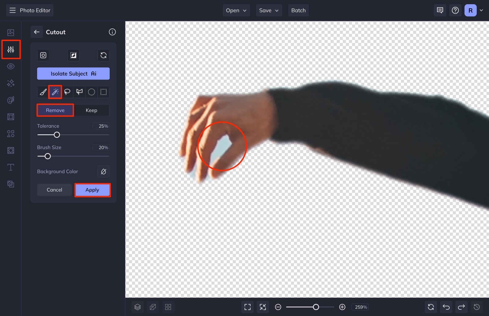 The 3 Best Tools to Remove Photo Backgrounds | Learn BeFunky