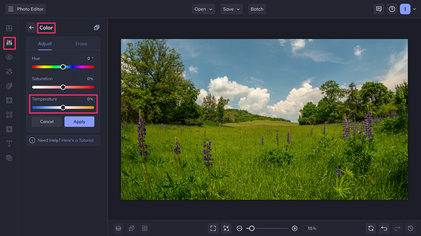 6 Simple Editing Methods for Photo Color Correcting | Learn BeFunky
