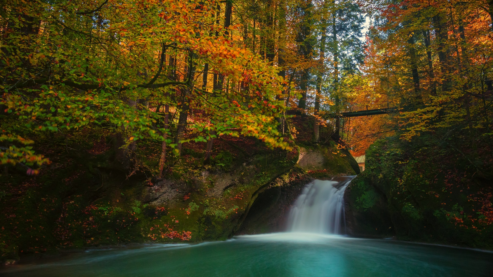 6 Simple Editing Methods for Photo Color Correcting | Learn BeFunky