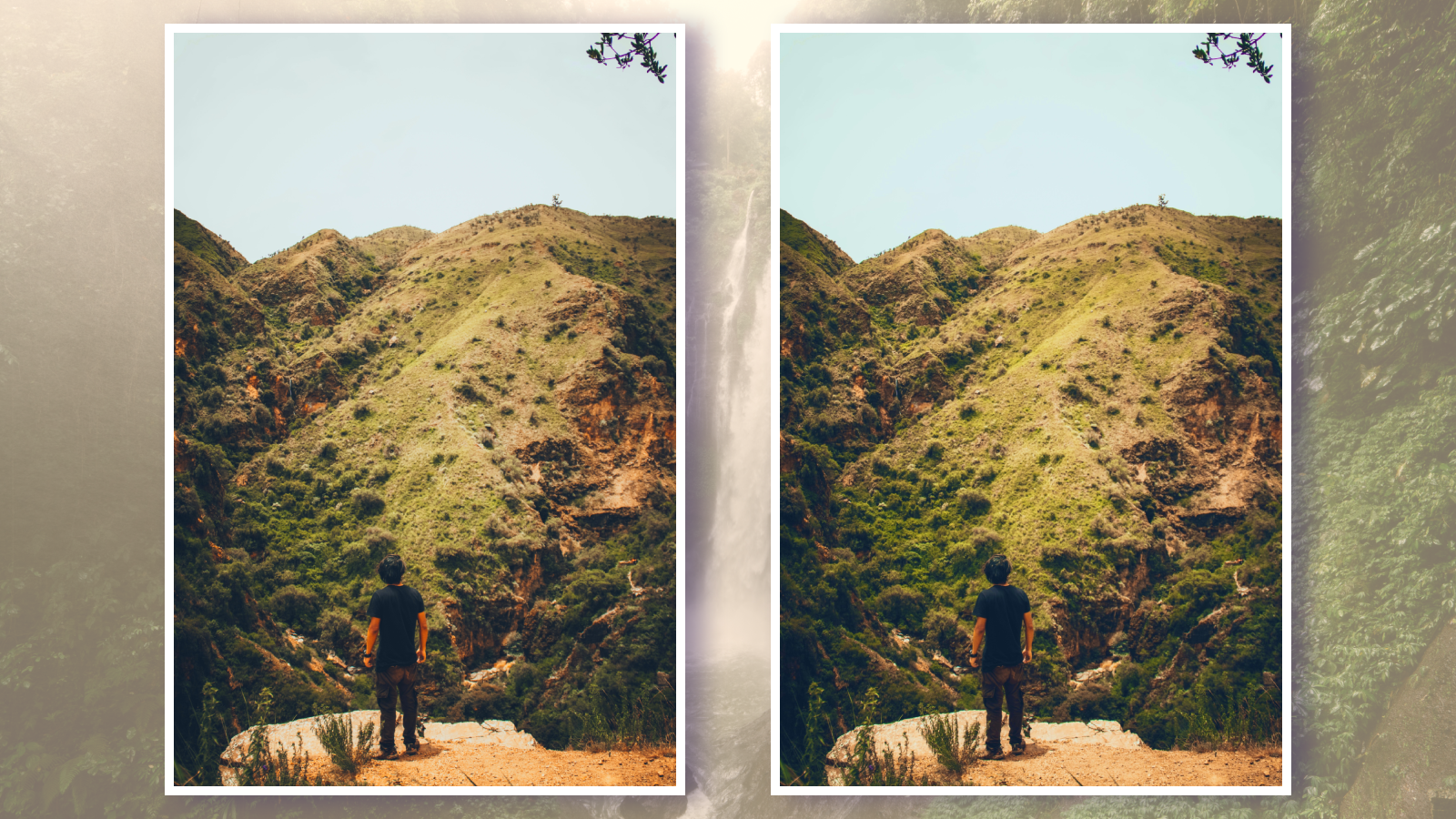 6 Simple Editing Methods for Photo Color Correcting | Learn BeFunky