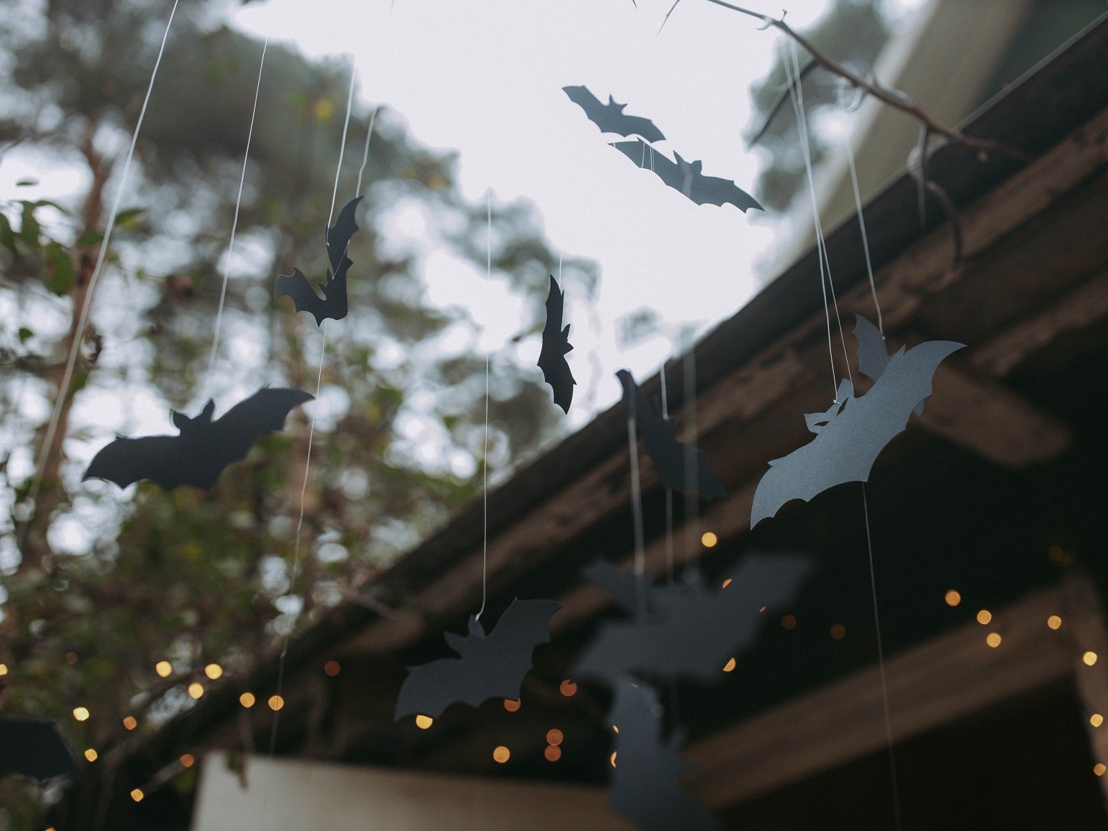 5 DIY Halloween Decoration Ideas | Learn BeFunky