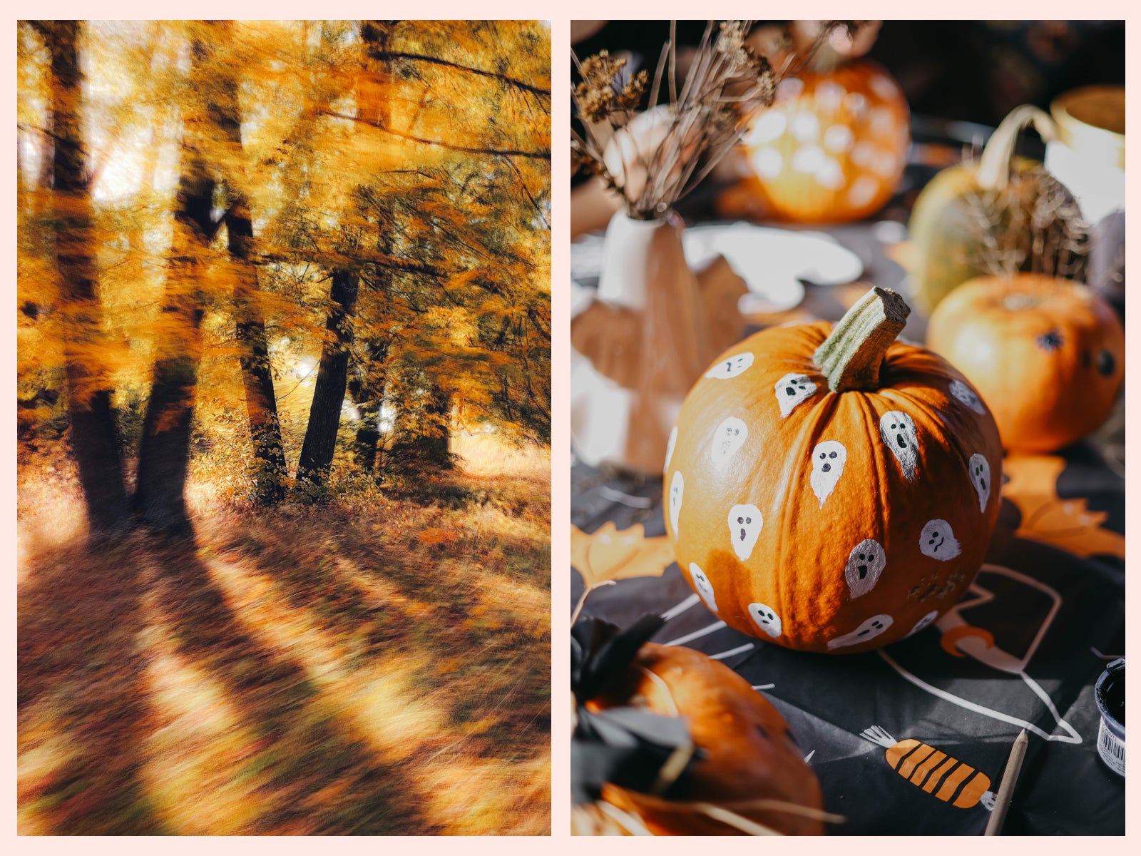 7 Unique Fall Photoshoot Ideas to Try This Season | Learn BeFunky