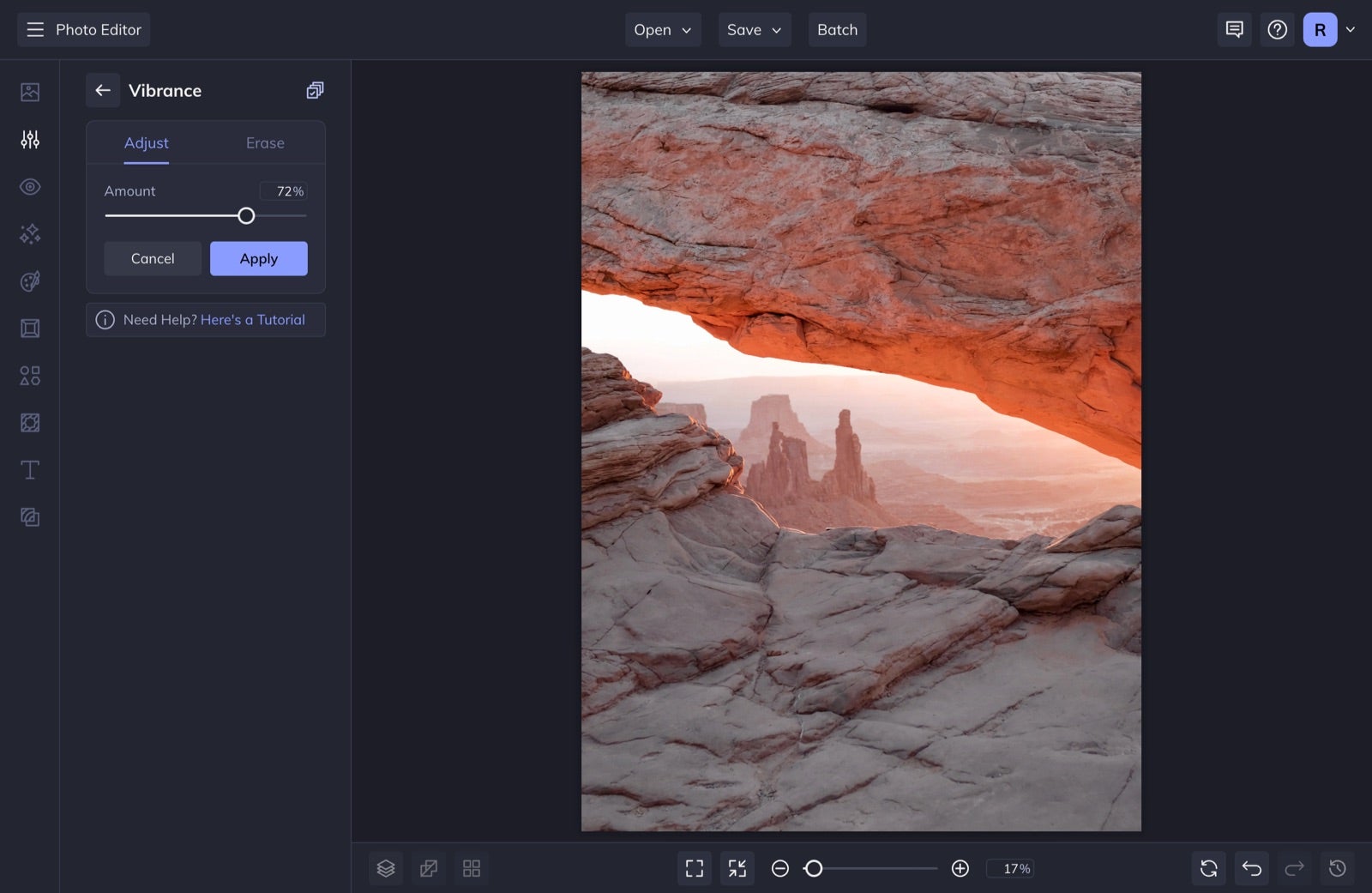 Learn the Basics of Color Enhancement in BeFunky’s Photo Editor | Learn ...