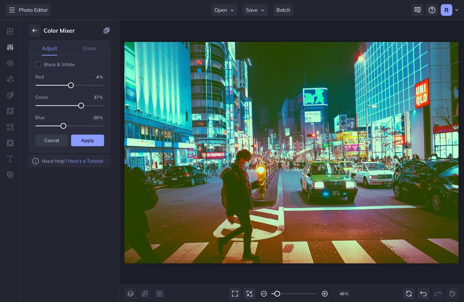 Learn the Basics of Color Enhancement in BeFunky’s Photo Editor | Learn ...