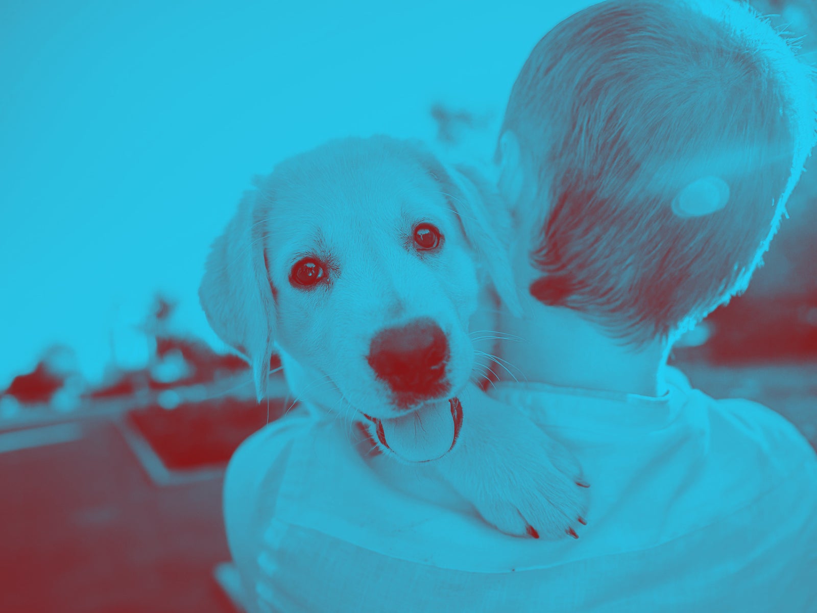 Create a Duotone Photo With the Tint Tool | Learn BeFunky