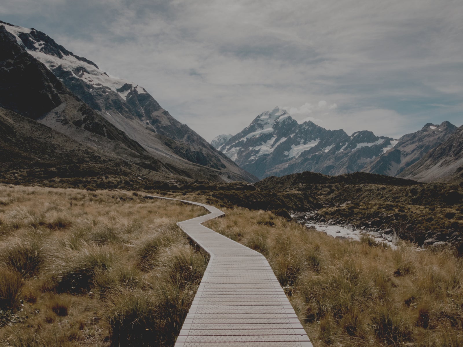 Add a Matte Photo Effect With the Levels Tool | Learn BeFunky